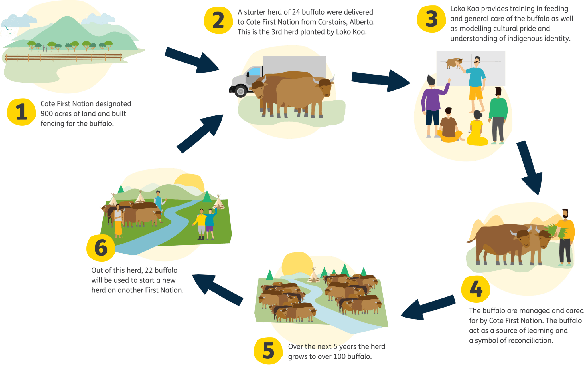 Buffalo Project – Cote First Nation